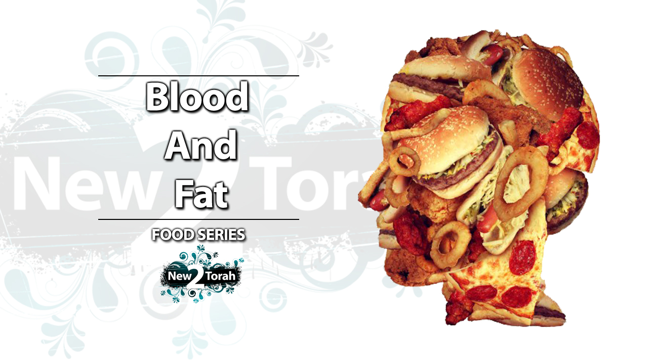 Blood and Fat - Learn By Doing - New2Torah.com