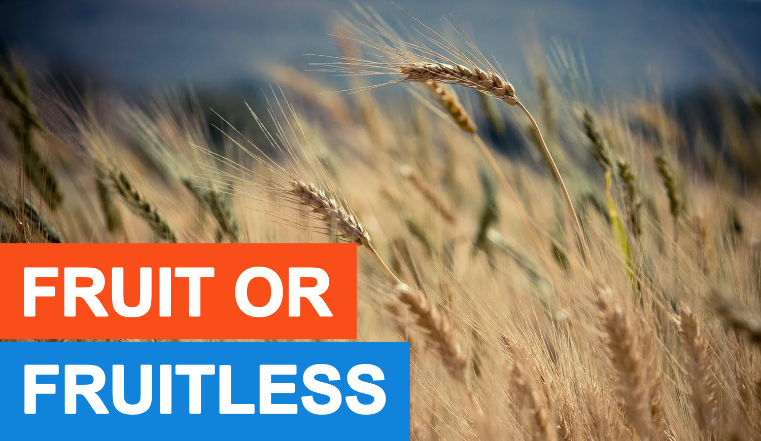 Fruit Or Fruitless? Interpreting The Parables Of The Bible - New2Torah.com